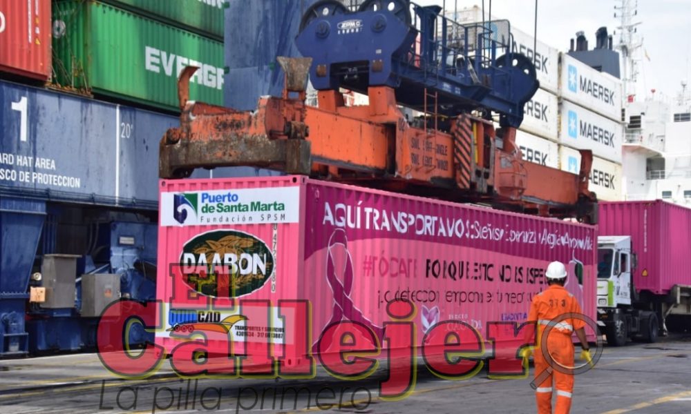 Container Rosa viajará por el mundo - El Callejero