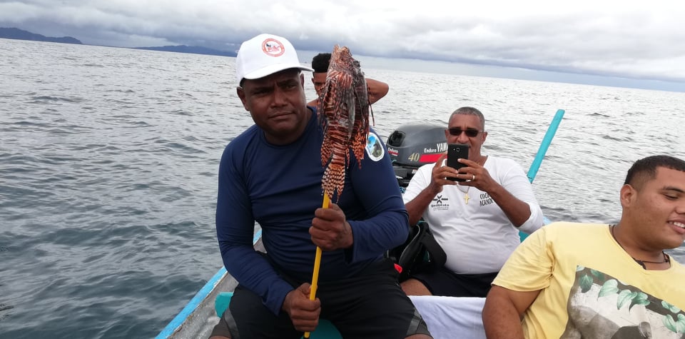 1.886 peces león menos en áreas protegidas del Caribe colombiano - El ...
